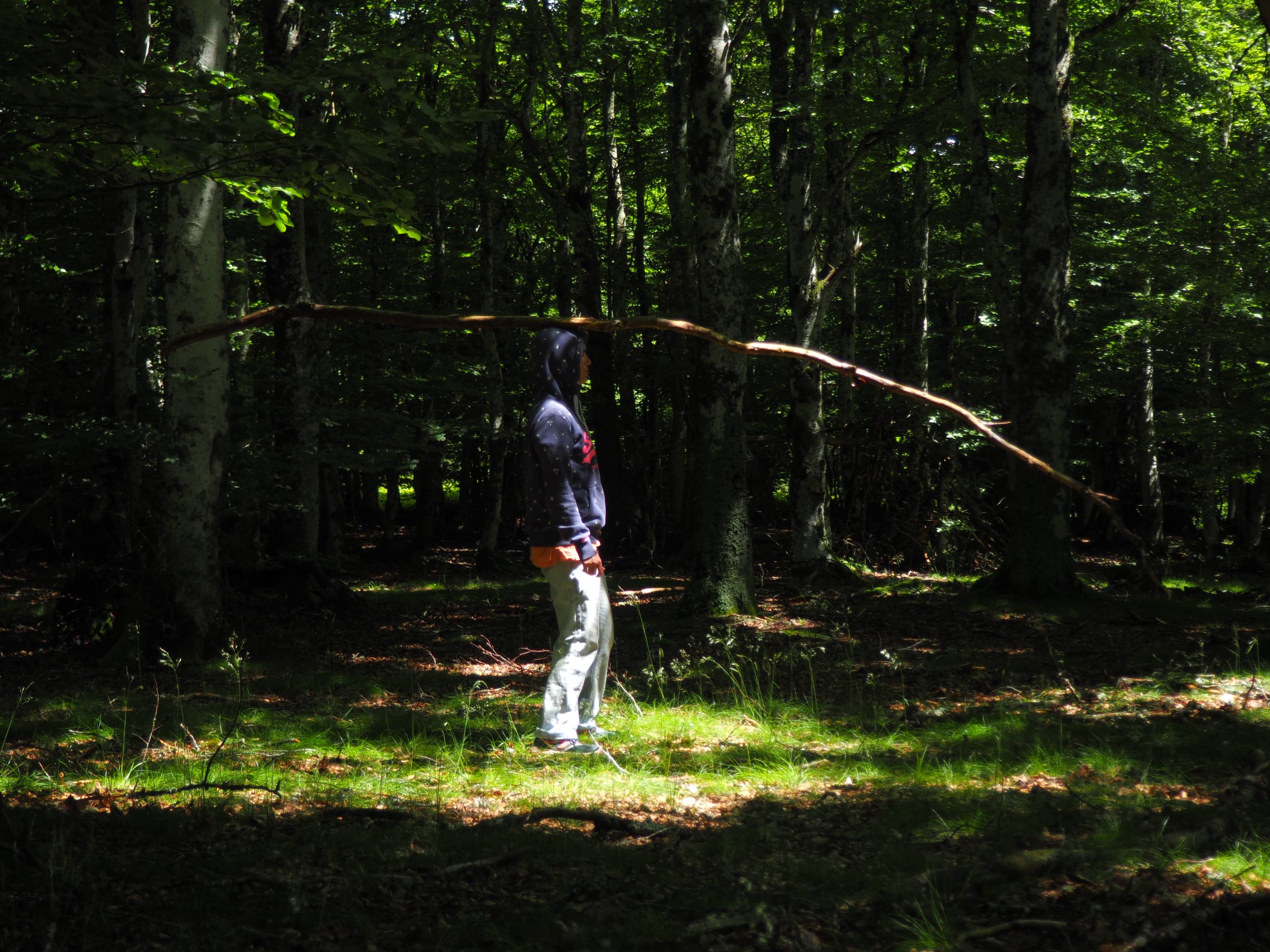 [ARCHIVE] CORPS BRANCHE - Ateliers de pratique avec Julie De Bellis - 5 ...